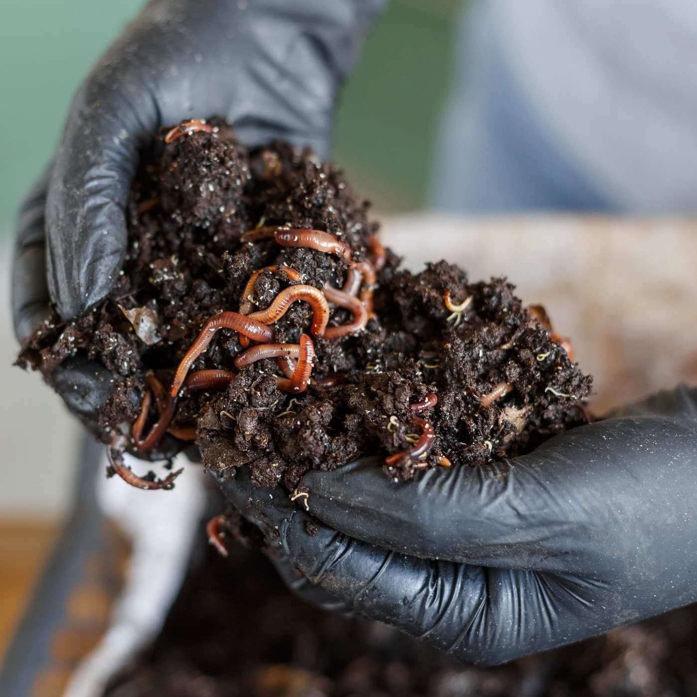 Fertwerck – Making Eco-Fertilizers Easy